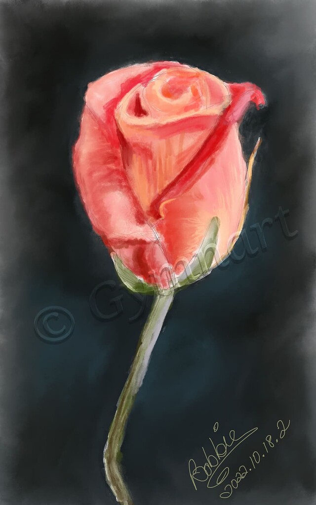Rose again but with Watercolor brushes - Finished Artworks - Krita Artists