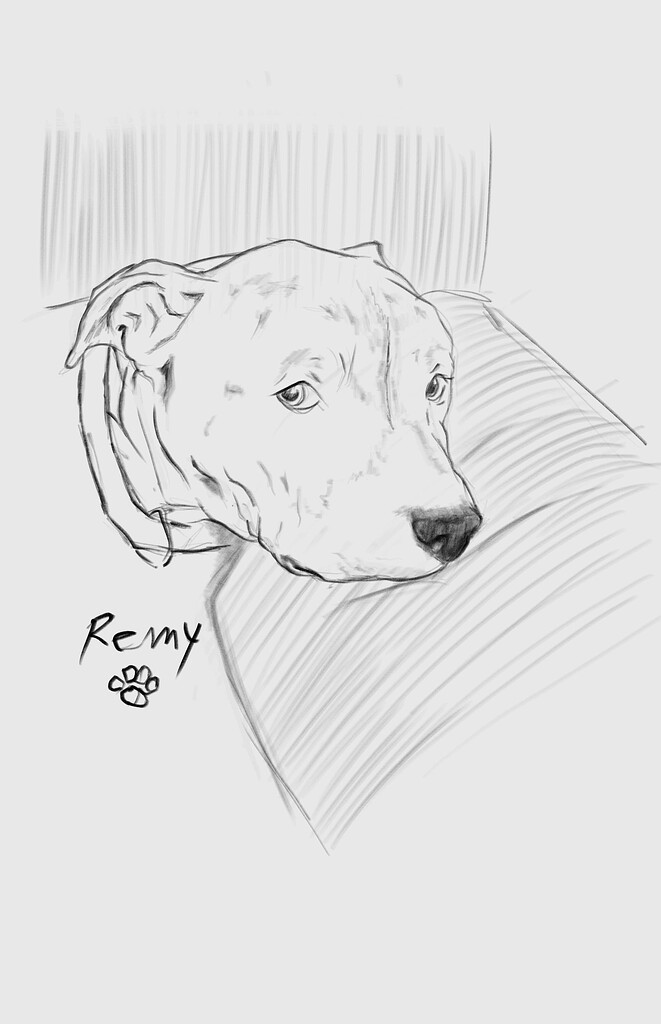 2 of my first scketches in Krita - sketchbook - Krita Artists