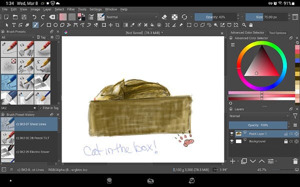 Sketch V2. (SK2) Pleasure to draw. including colored pencils and ...