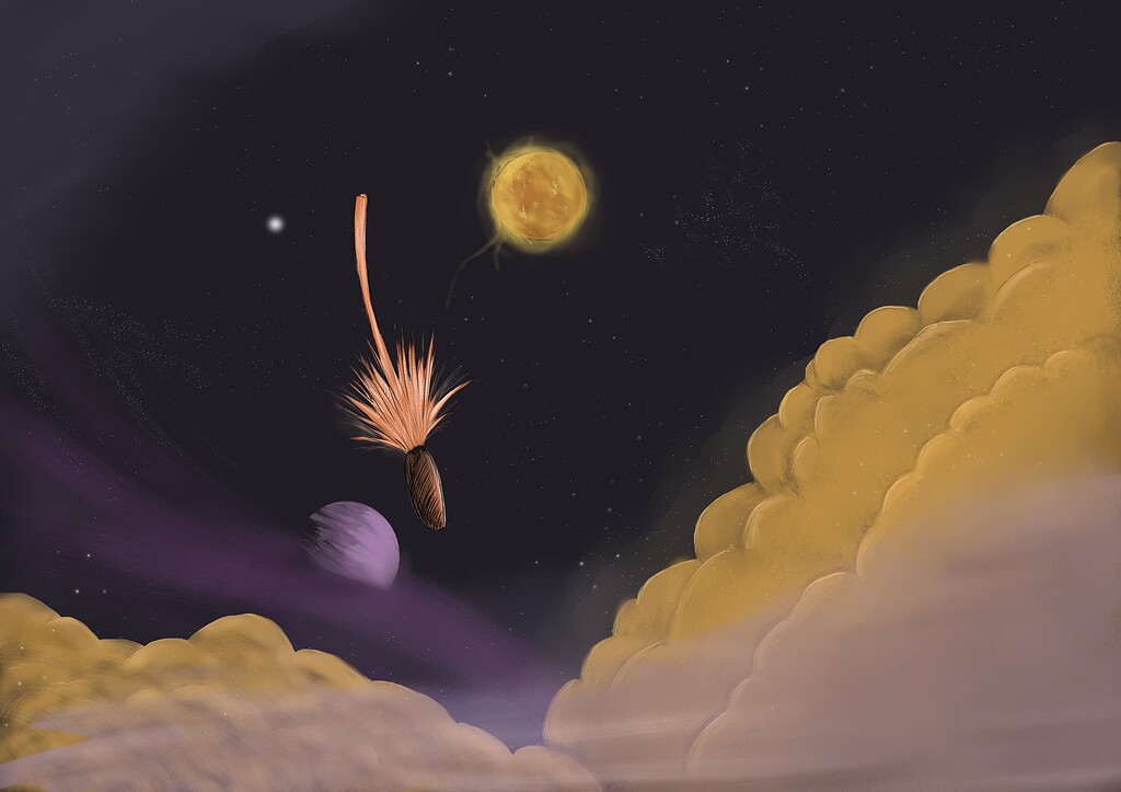 A solitary protea seed floating through space - Finished Artworks ...