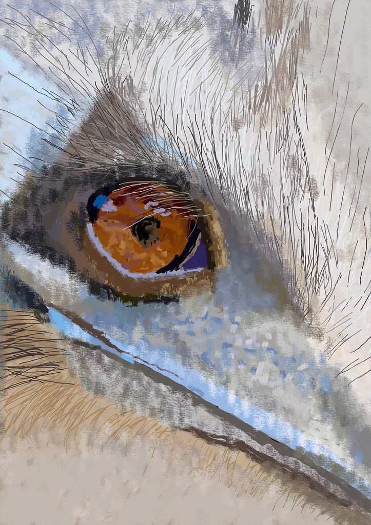 Eye of Emu - Finished Artworks - Krita Artists