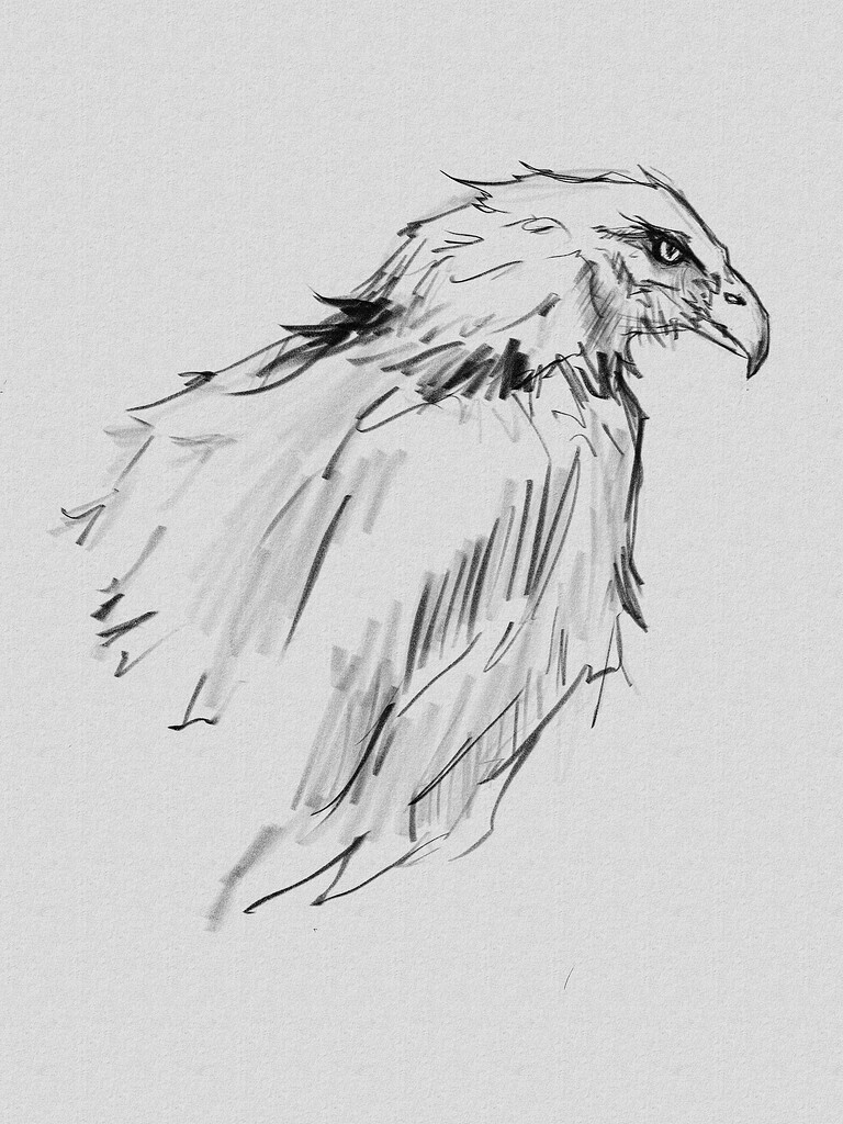 Sad Eagle - sketchbook - Krita Artists