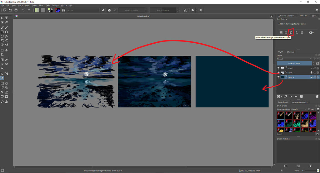 Reference Image Tool Enhancements Artists Feedback Testing Krita Artists