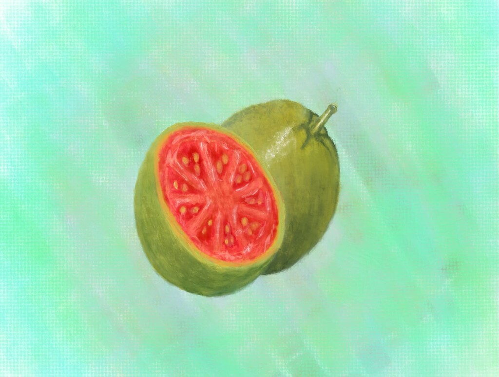 Guava fruit - Finished Artworks - Krita Artists
