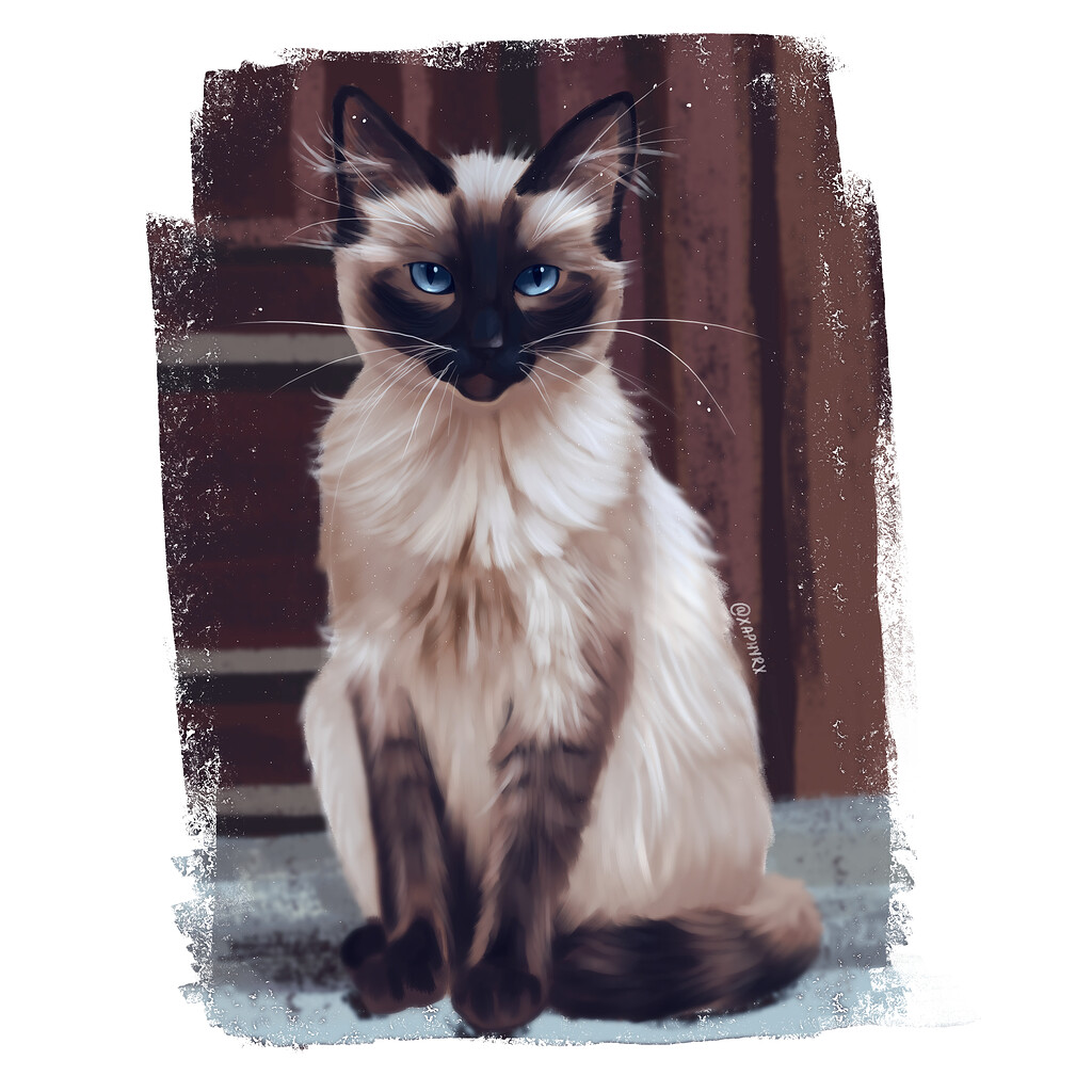 Siamese Cat - Finished Artworks - Krita Artists