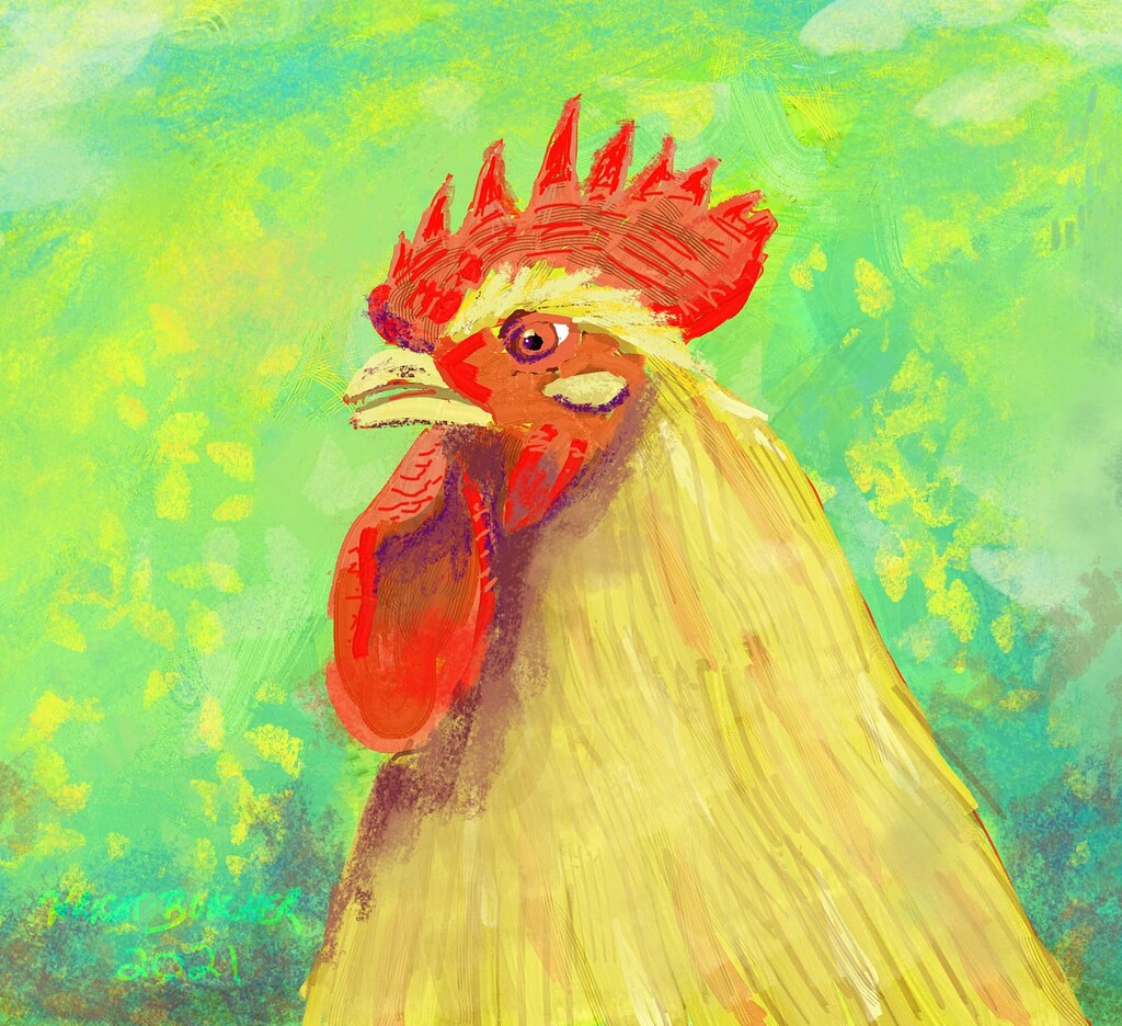 Rooster study - Finished Artworks - Krita Artists