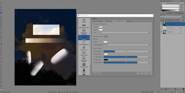 Customize the overlay color of the selected area in the selection mask ...