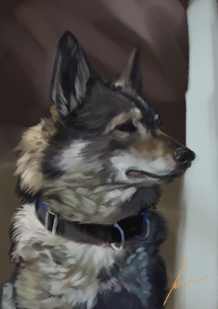 Dogs studies - sketchbook - Krita Artists