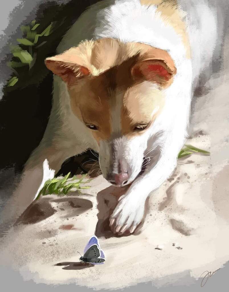 Dog and Butterfly - Finished Artworks - Krita Artists
