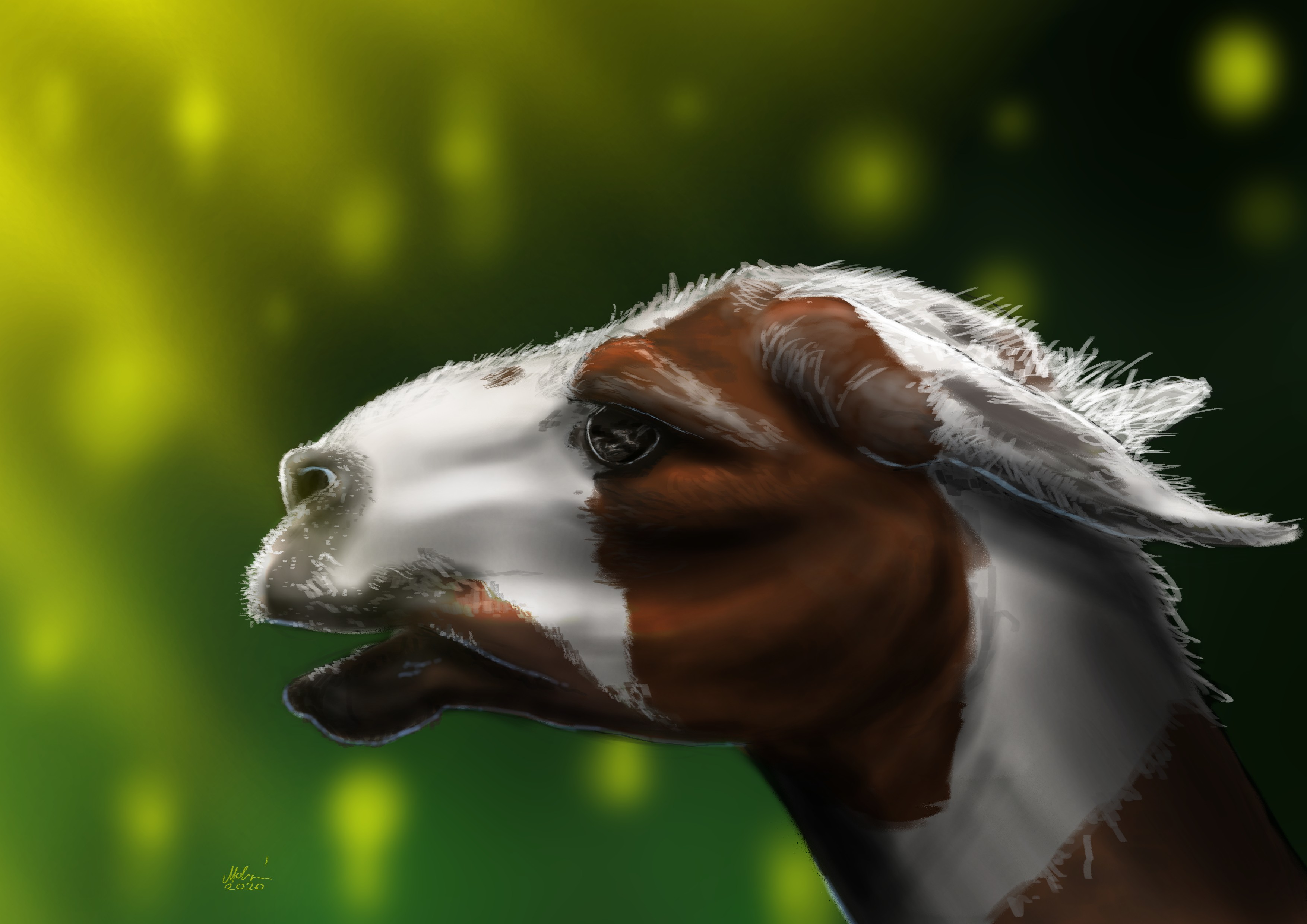 Llama painting - Finished Artworks - Krita Artists