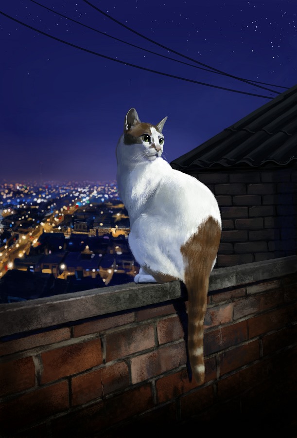 Cat Computer Art Digital Painting Of Orange Cat, How To Draw