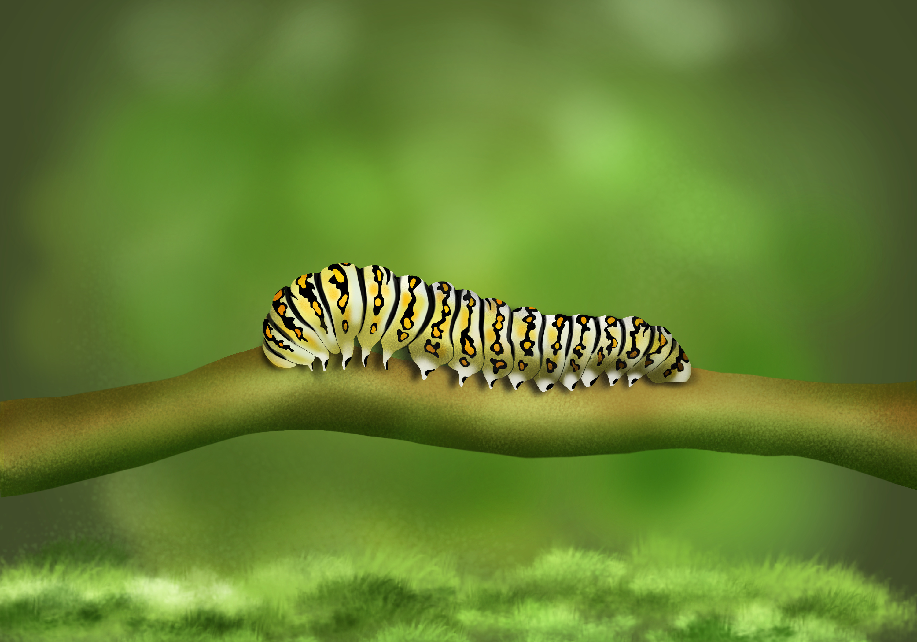 Here Is A Caterpillar 100 Krita Finished Artworks Krita Artists here-is-a-caterpillar-100-krita-finished-artworks-krita-artists
