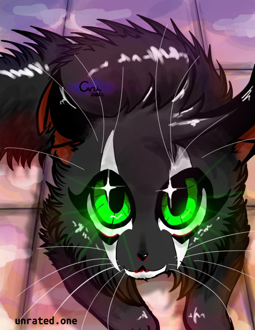 Nigris Jet (as kitten) from Book About The Black Jewel - Finished ...