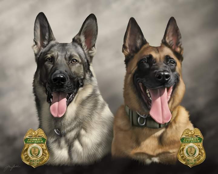 K9 Officer Portrait - Finished Artworks - Krita Artists