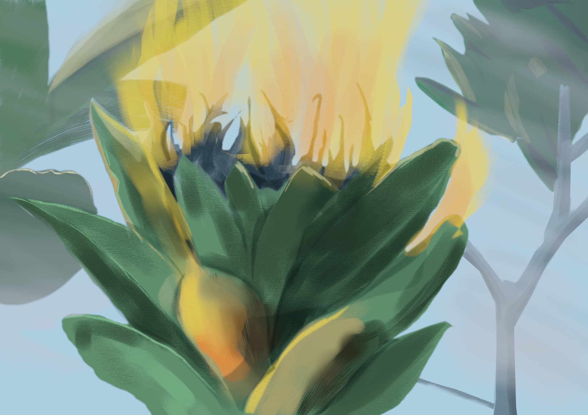 Protea field, part 2 - Finished Artworks - Krita Artists