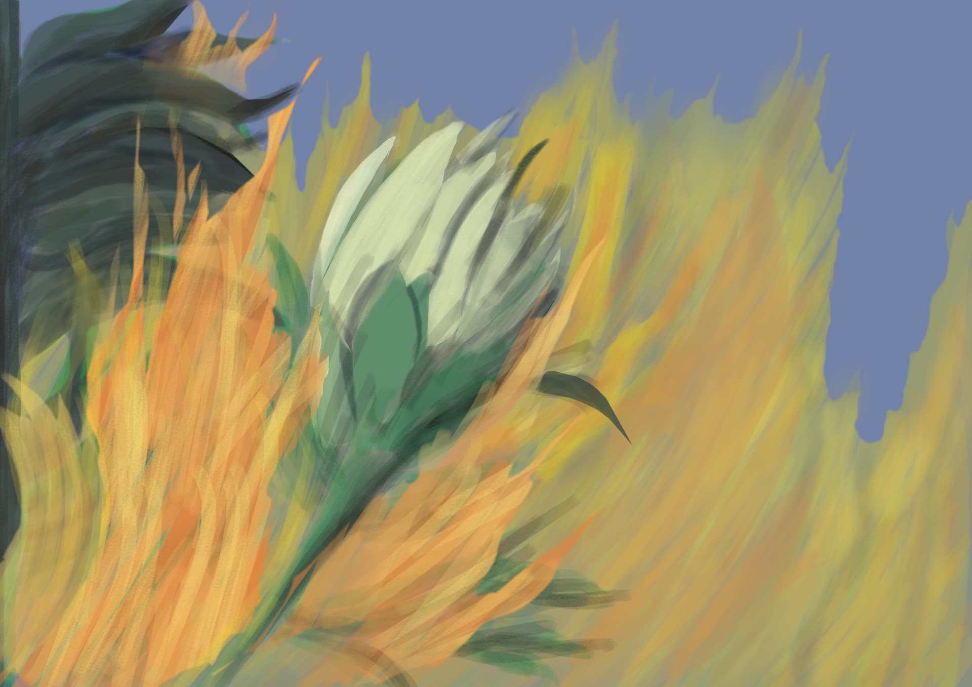 Protea field, part 2 - Finished Artworks - Krita Artists