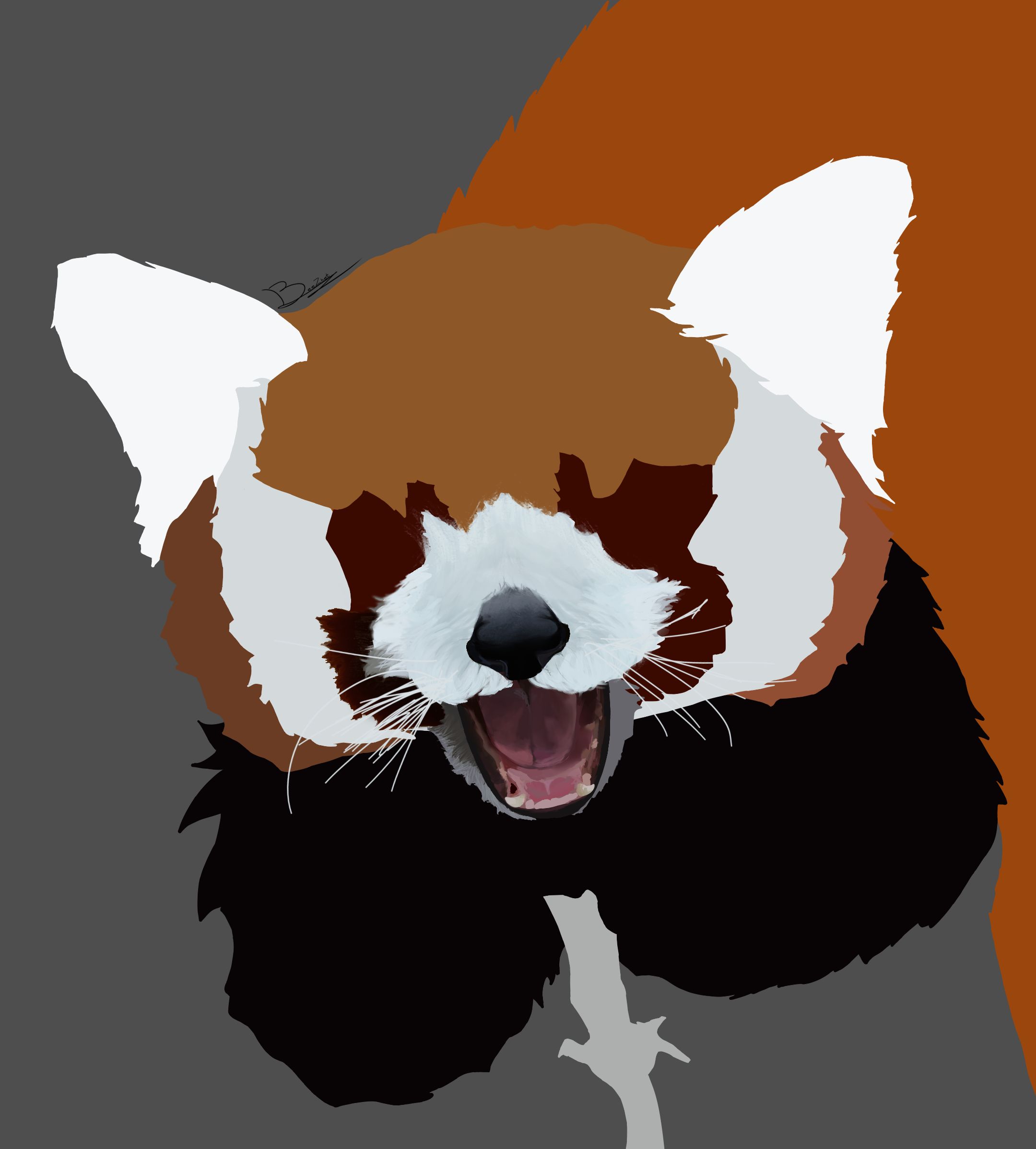 Red Panda WIP - Work In Progress - Krita Artists