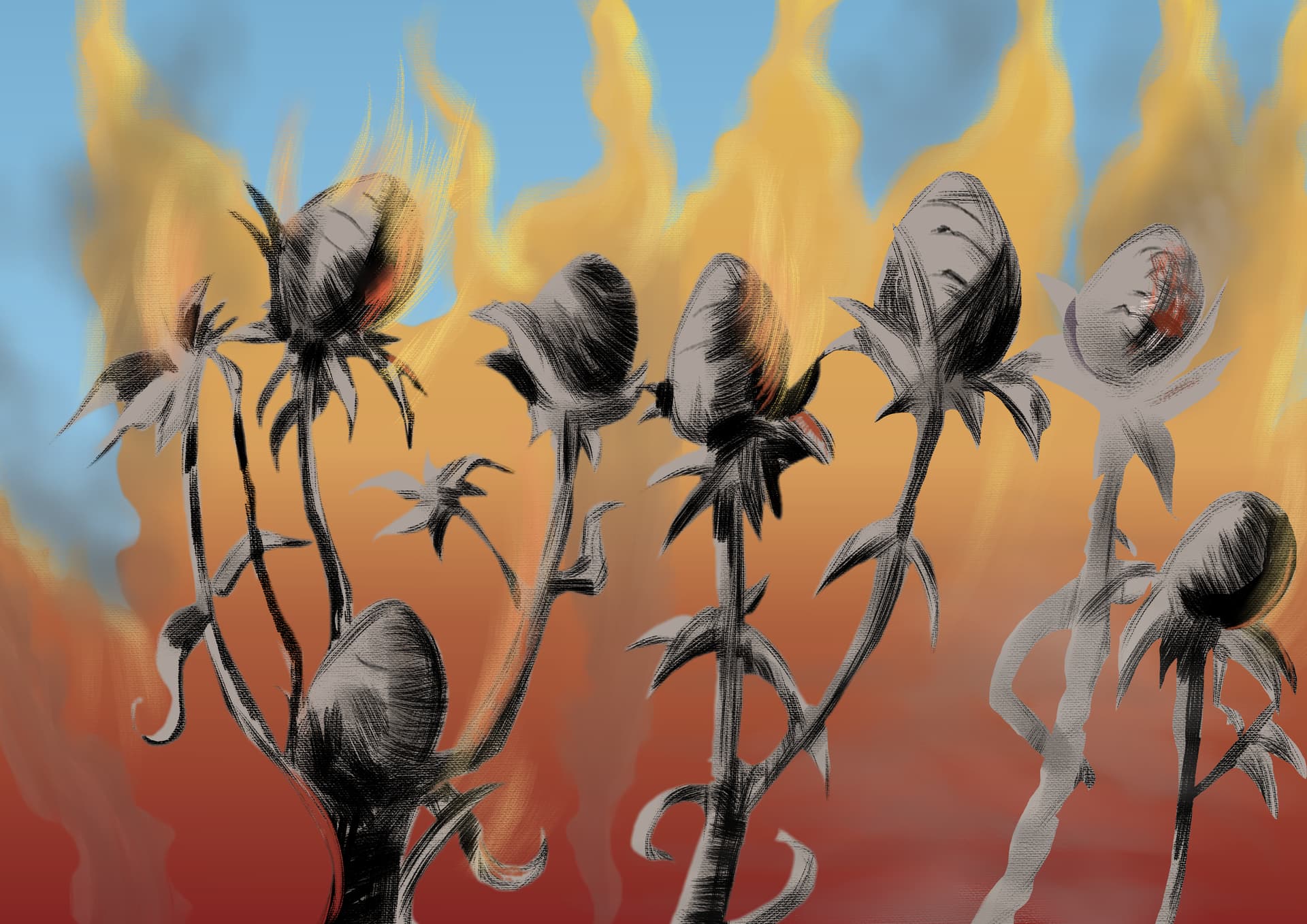 Protea field, part 2 - Finished Artworks - Krita Artists