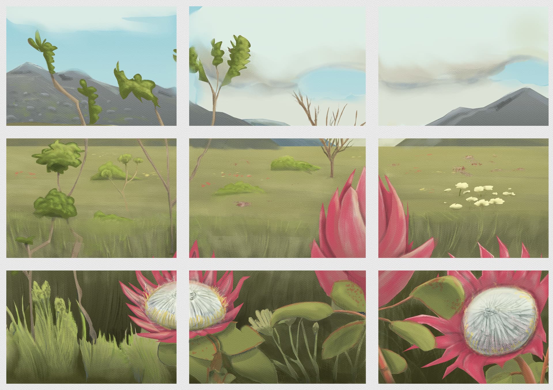 Protea field - Finished Artworks - Krita Artists