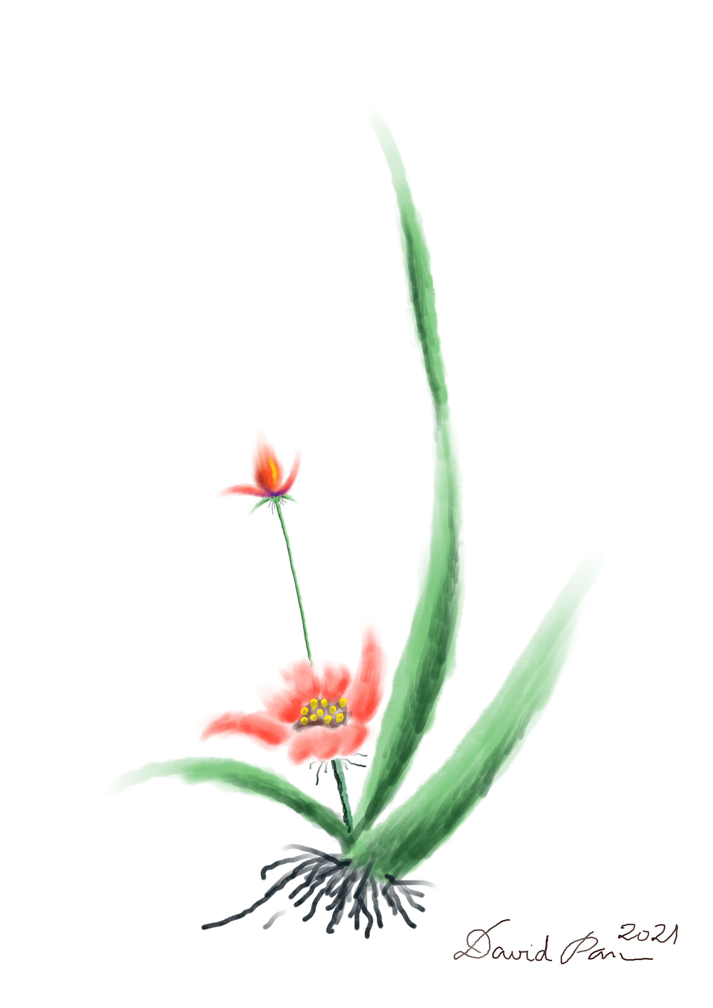 Flower-2B - Finished Artworks - Krita Artists