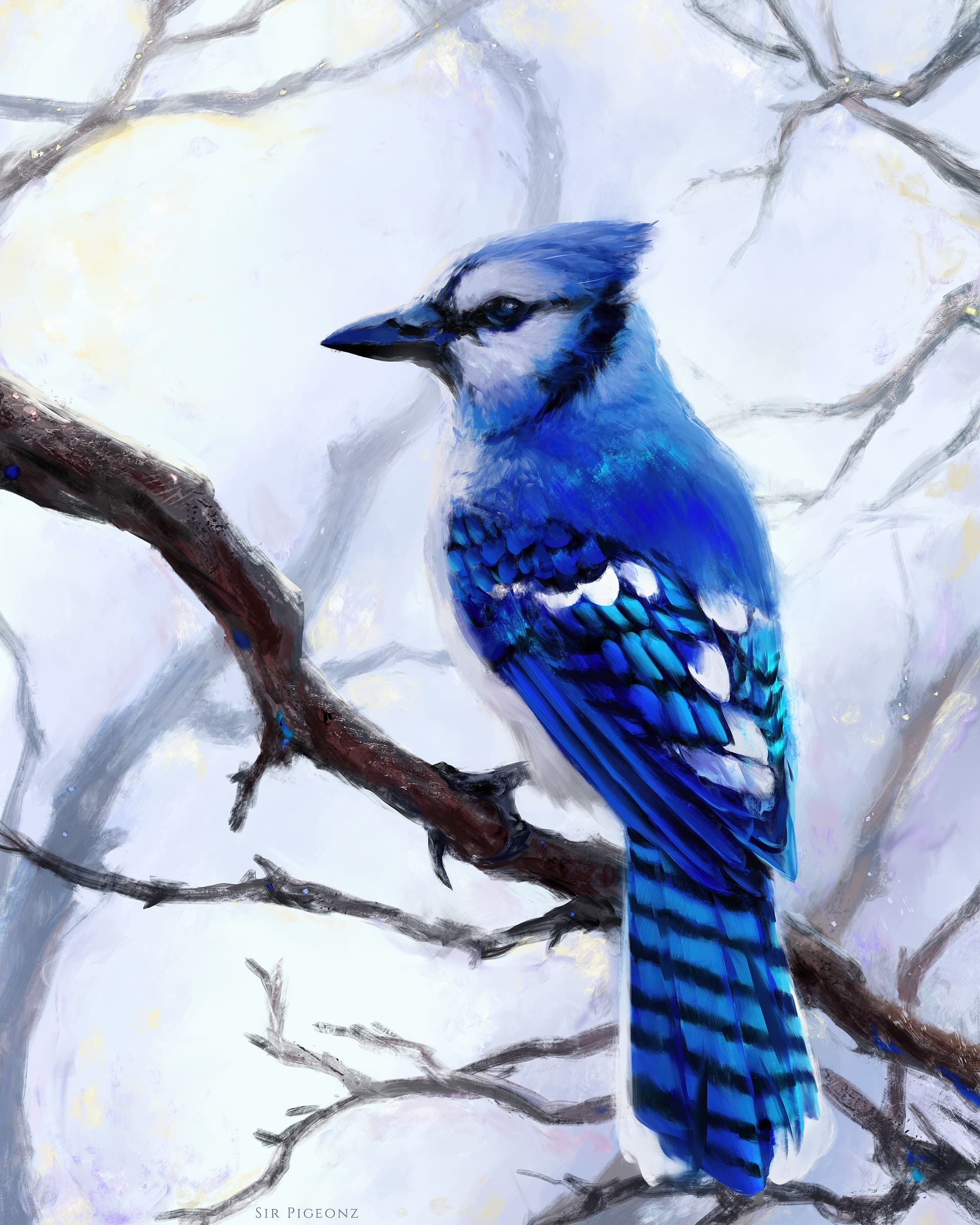 Forgotten Blue Jay - Finished Artworks - Krita Artists