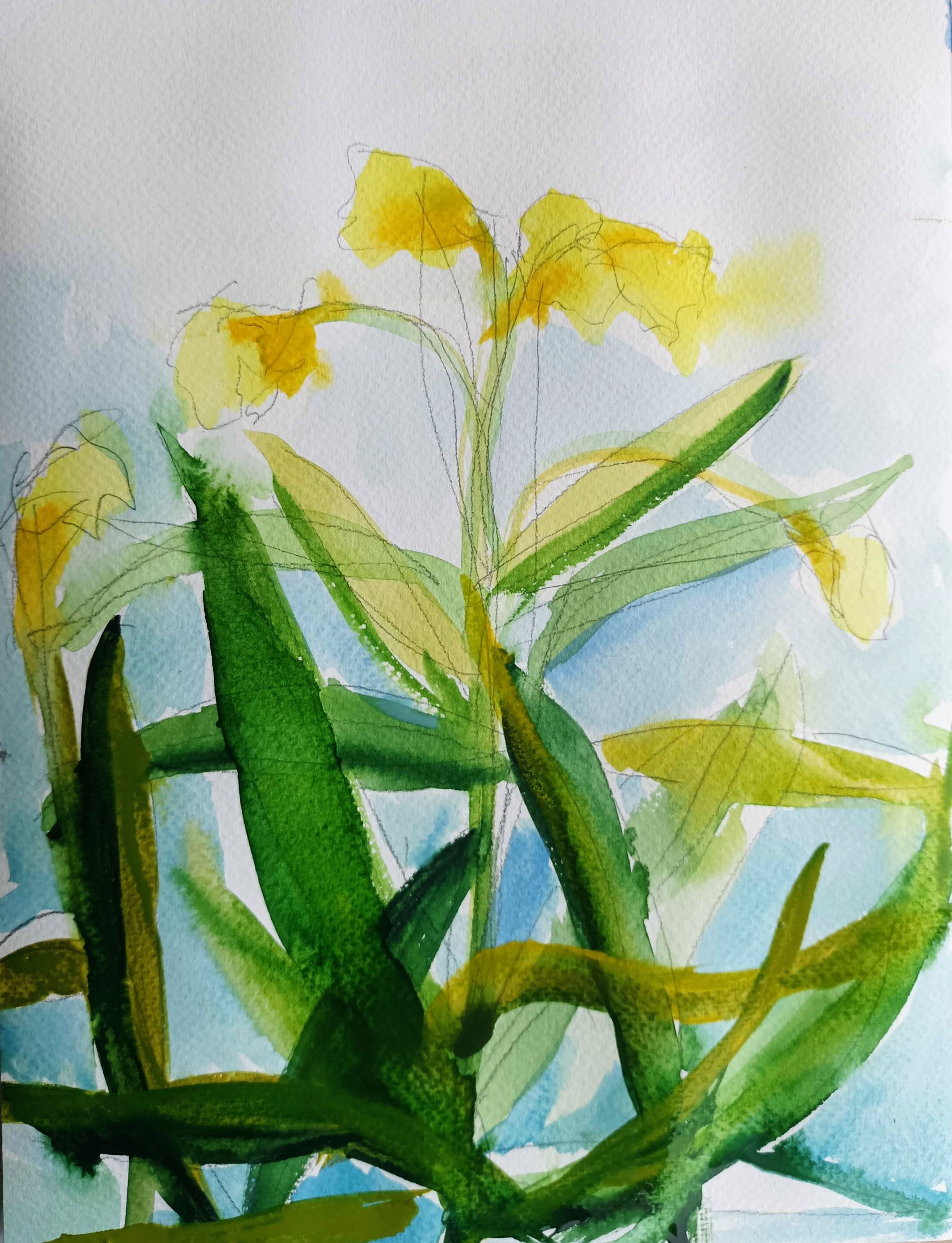 Aquarelle flower - Traditional - Krita Artists