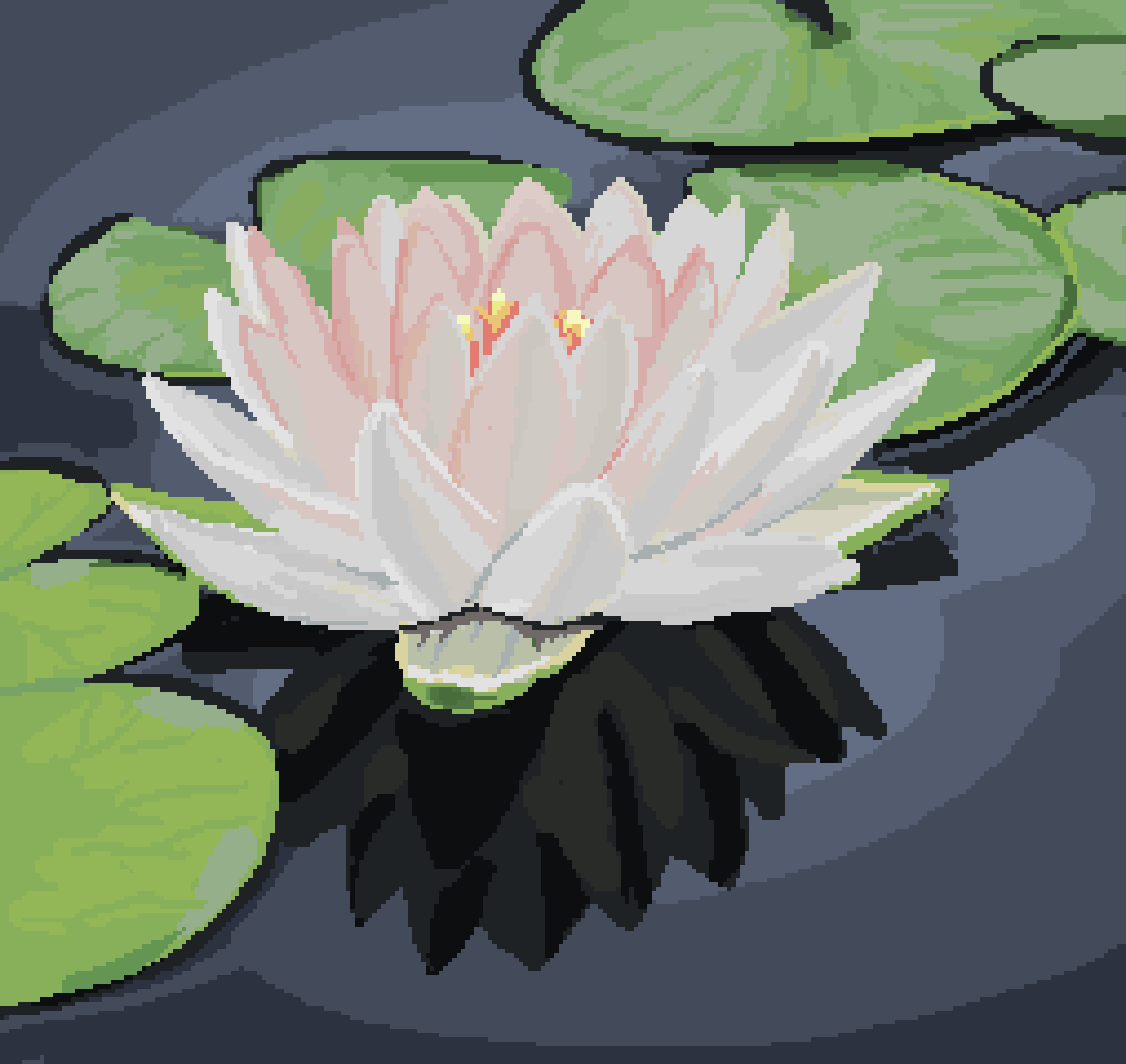 Lotus flower - Finished Artworks - Krita Artists