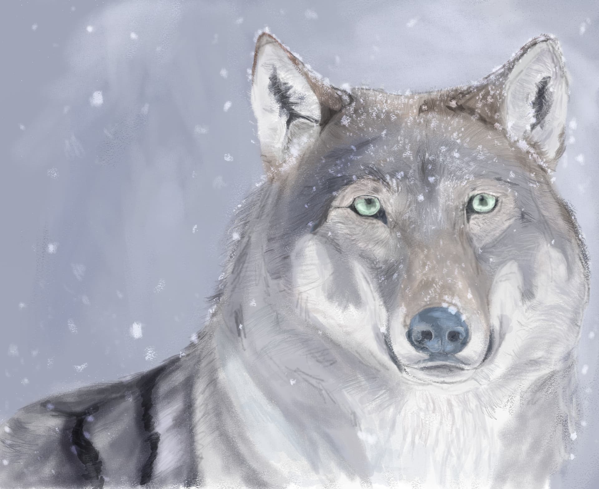 Wolf in Snow - Finished Artworks - Krita Artists