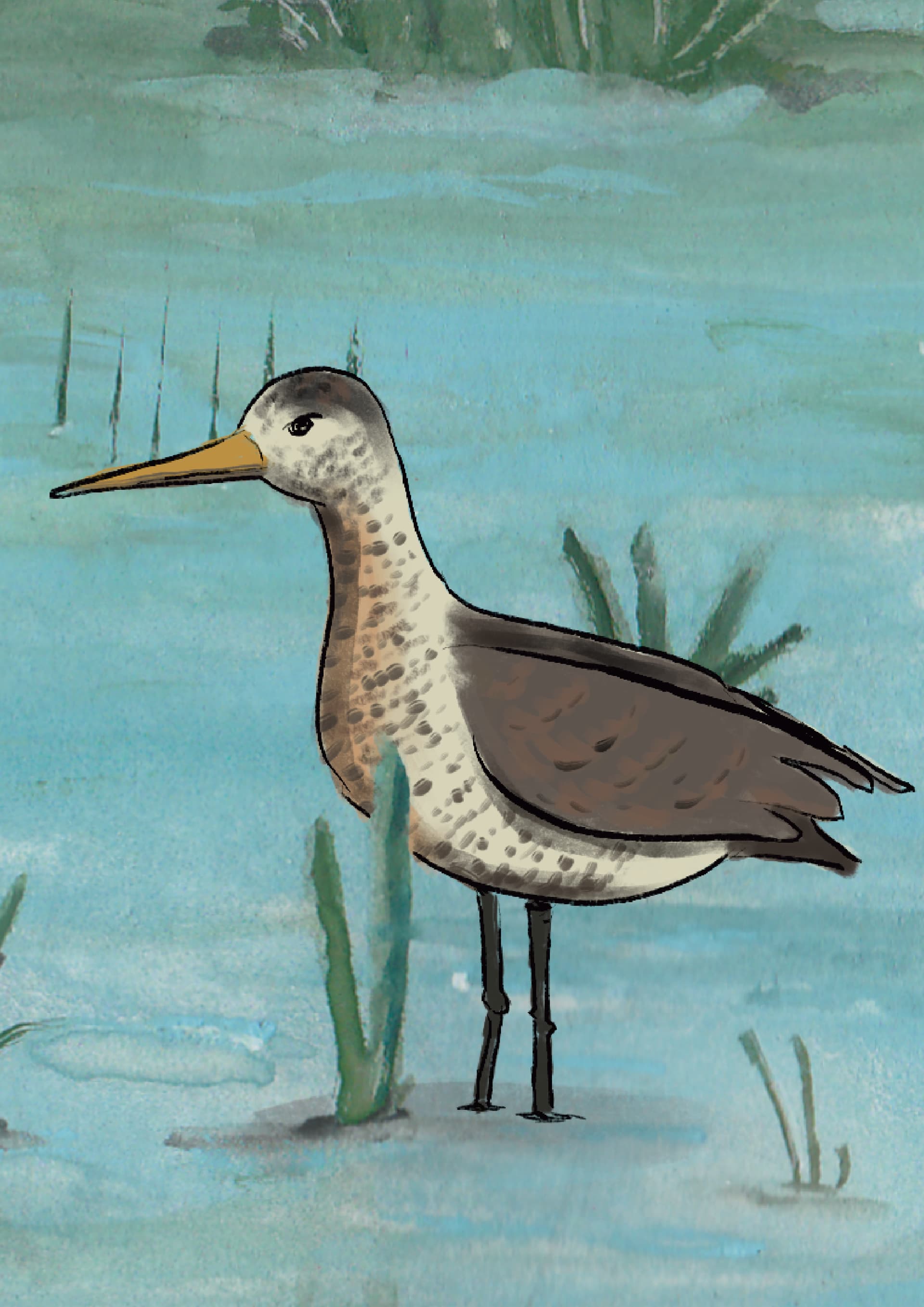 Bird animation project - Animations - Krita Artists