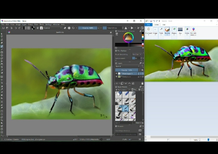 My 2nd attempt at a semi realistic insect - Finished Artworks - Krita ...