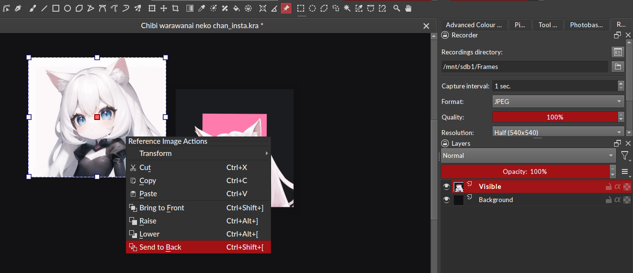 How to make reference image placed in current view - General Questions ...