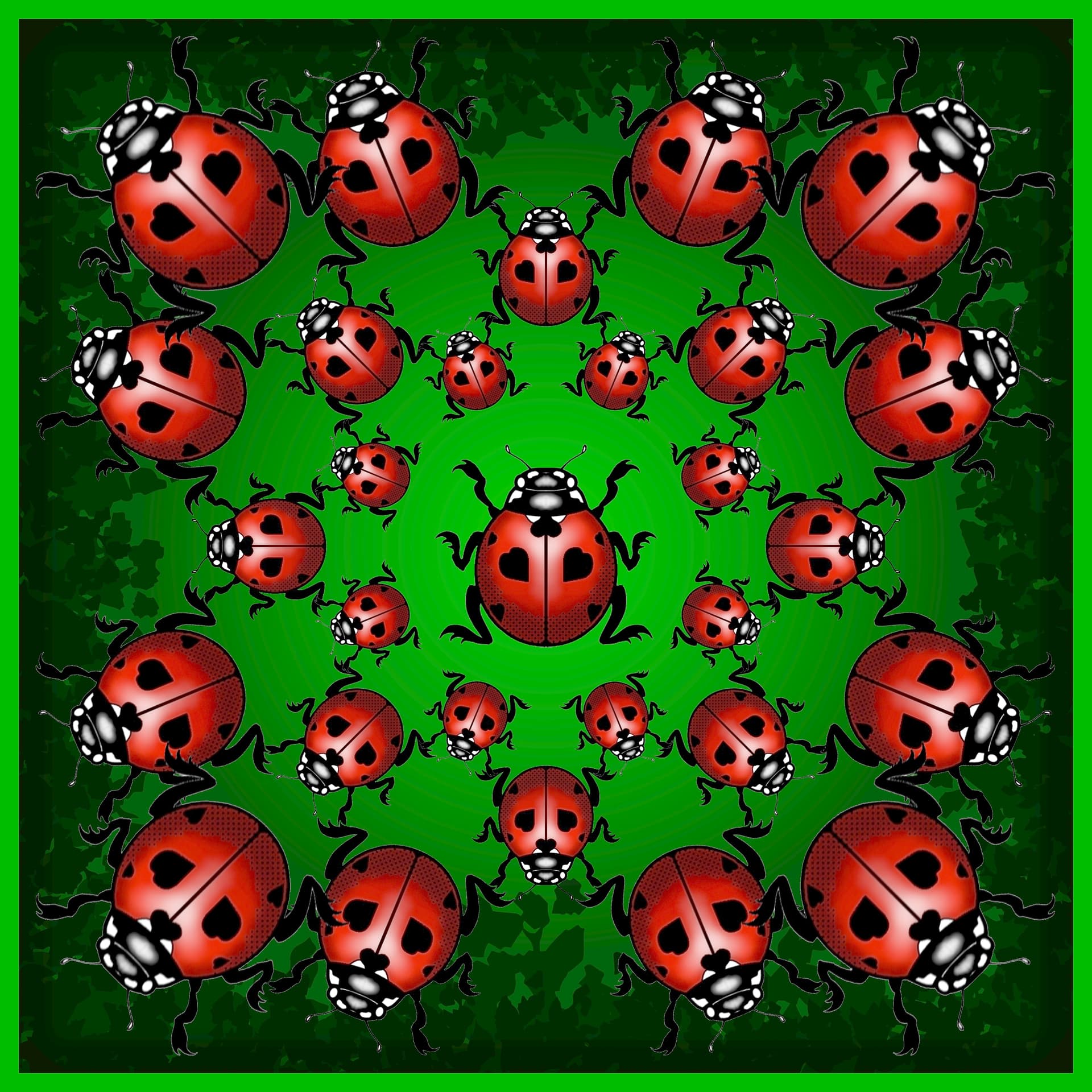Ladybug Mandala (Leafy, Lightning, Sunburst) - Finished Artworks ...