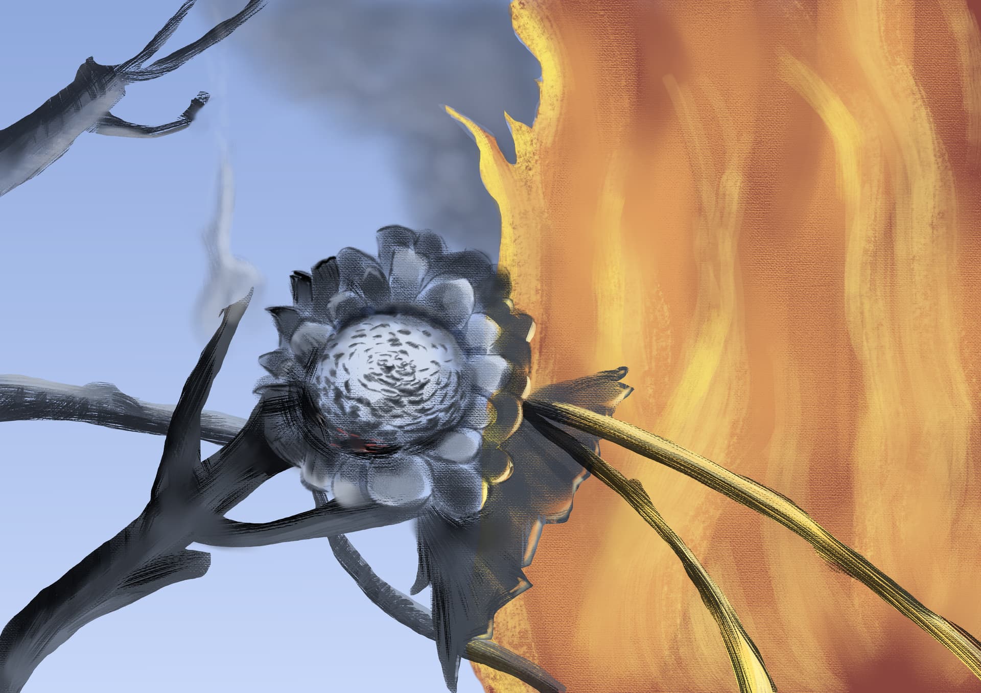 Protea field, part 2 - Finished Artworks - Krita Artists