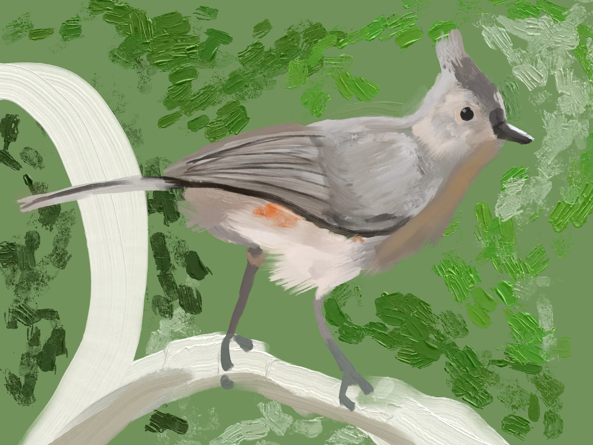 Titmouse Quick Painting - Finished Artworks - Krita Artists