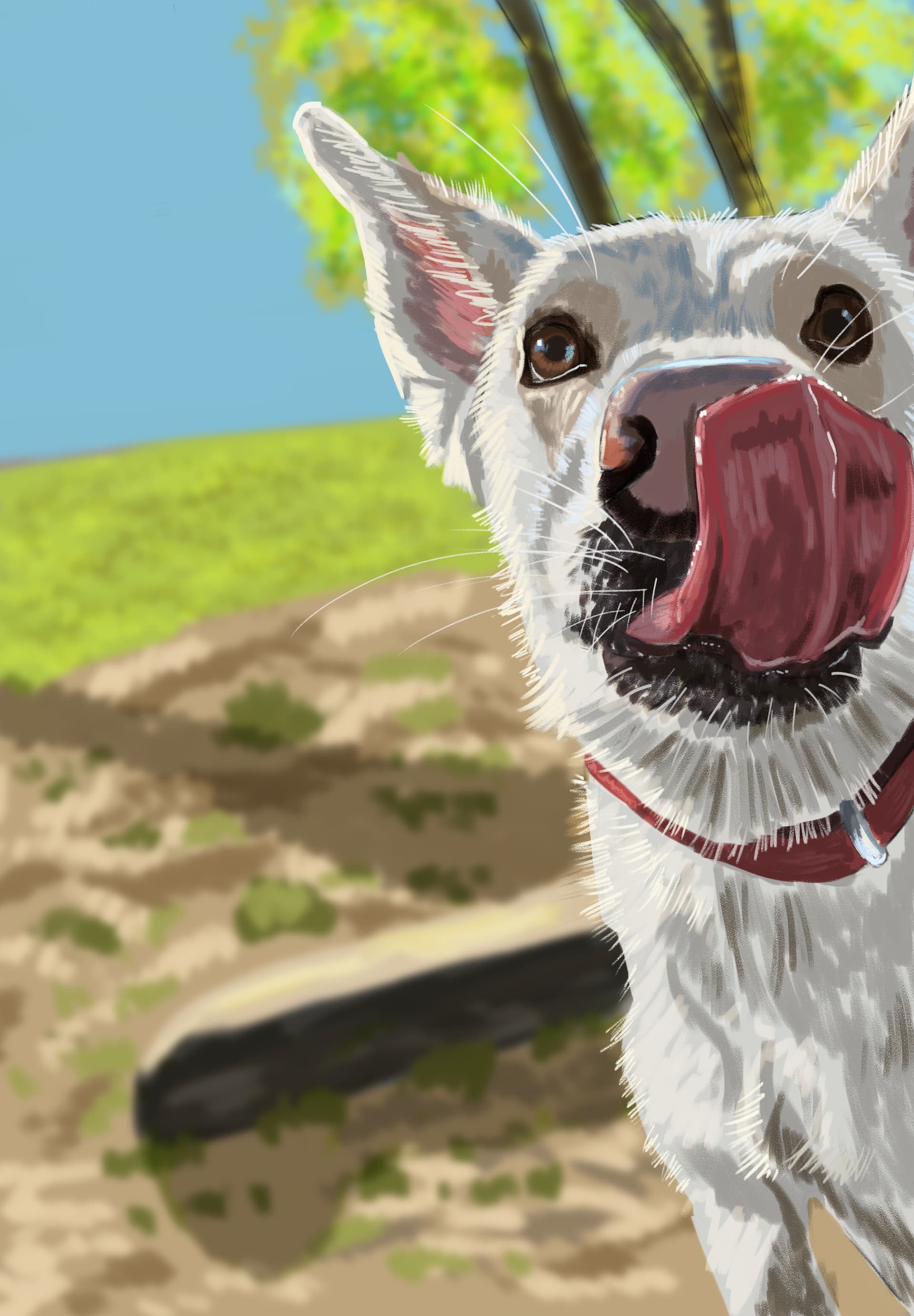 Bella - white dog - Finished Artworks - Krita Artists
