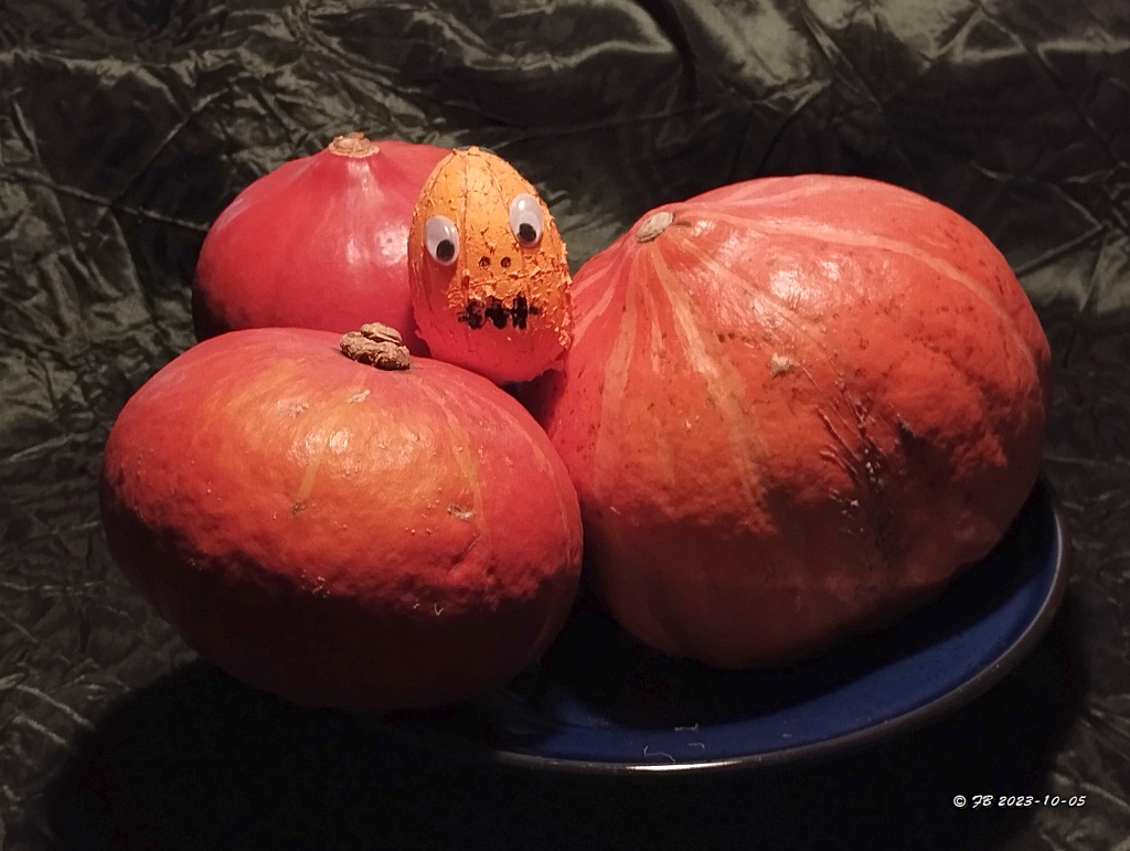 Still life with Pumpkins - Finished Artworks - Krita Artists