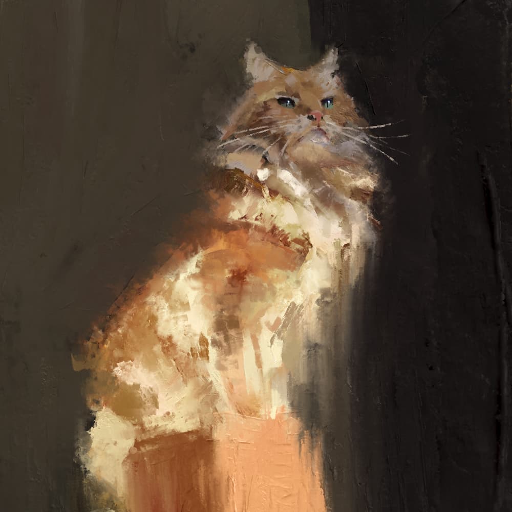 Cat Sketch - Finished Artworks - Krita Artists