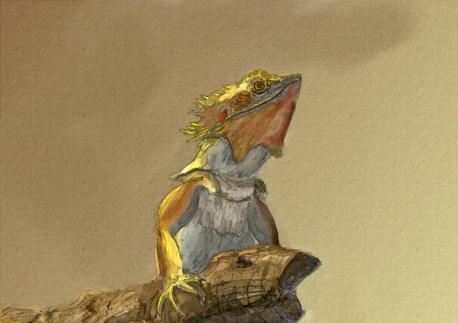 Bearded Dragon - Finished Artworks - Krita Artists