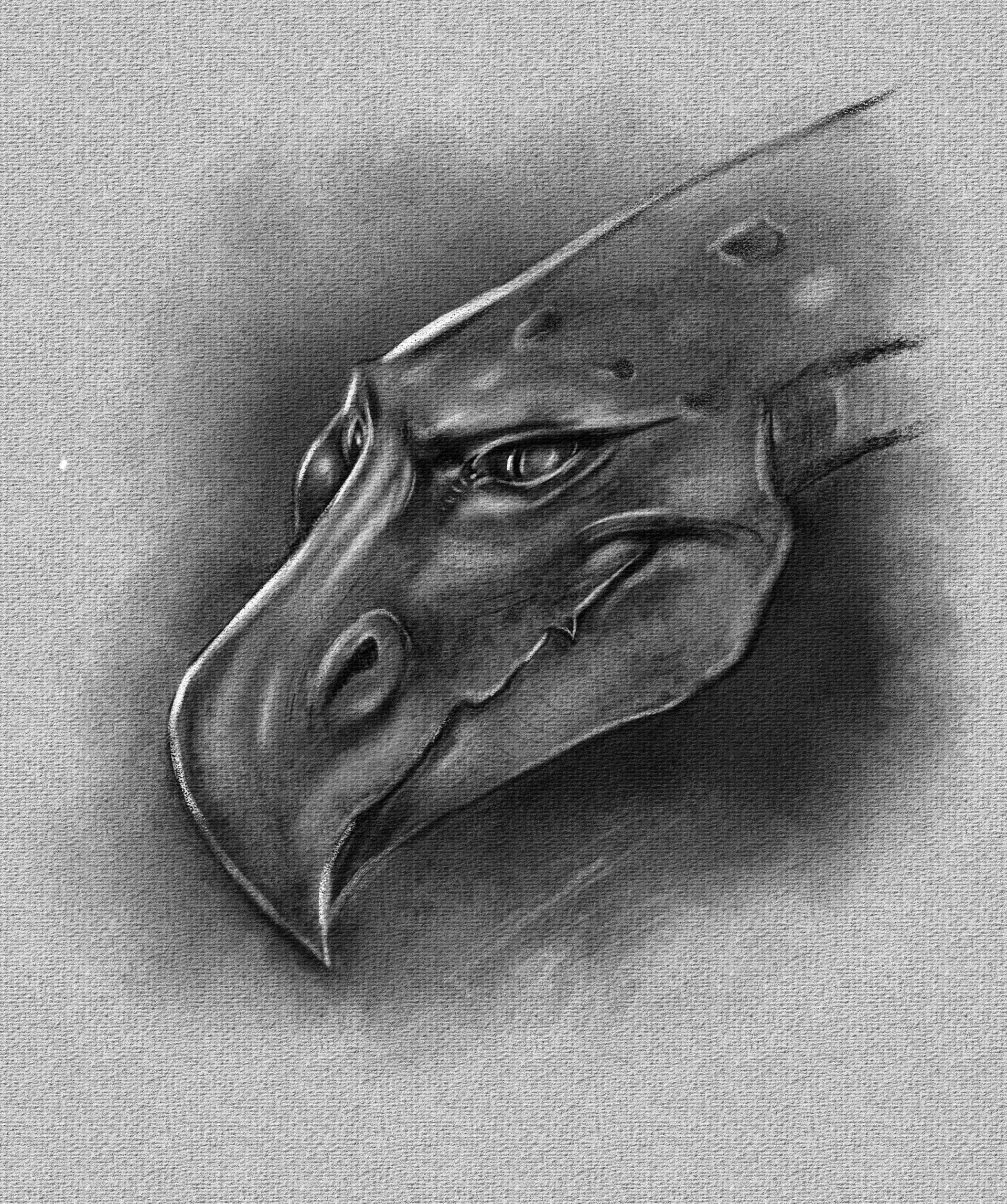 Dragon charcoal - Finished Artworks - Krita Artists