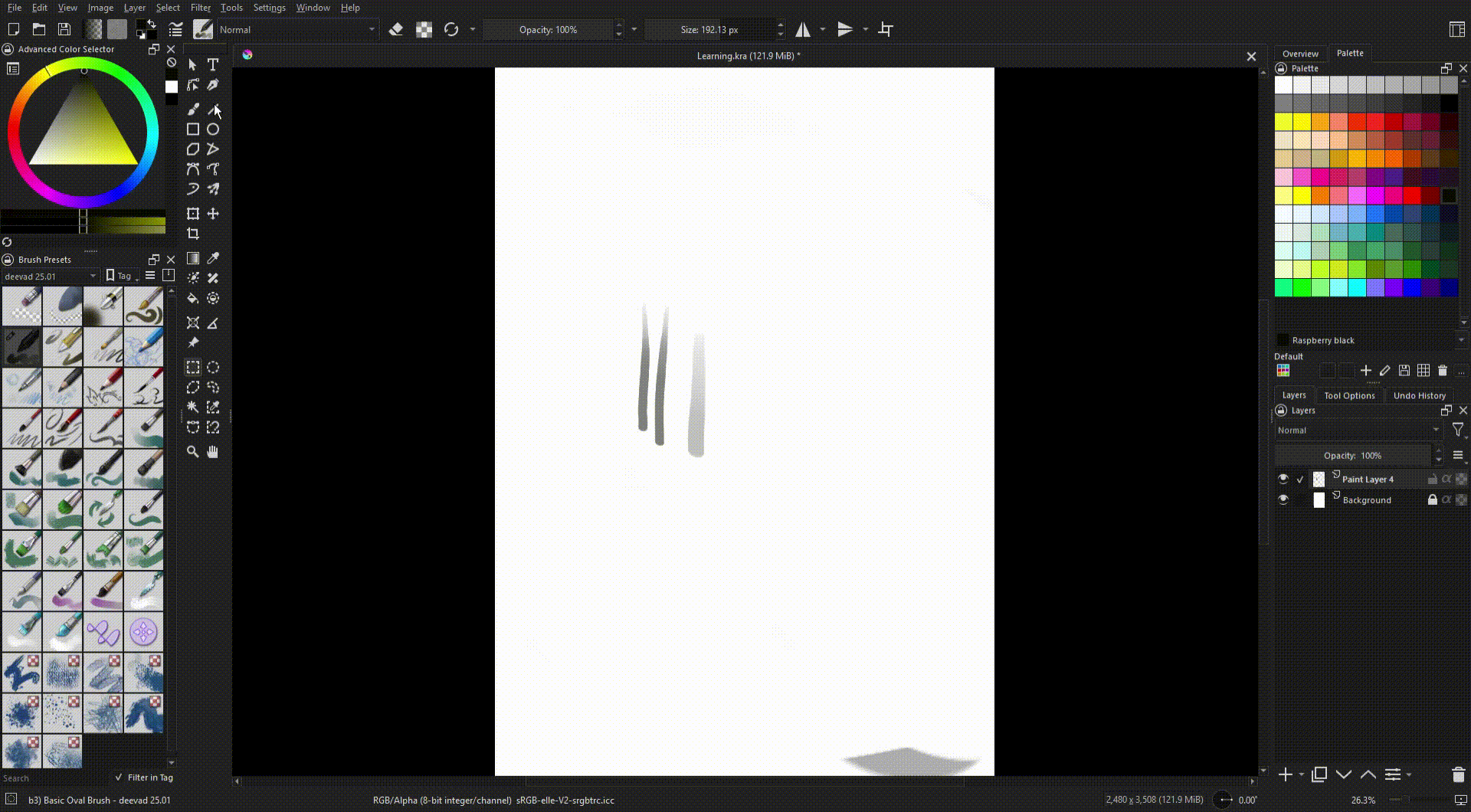 Double cursor problem - General Questions - Krita Artists