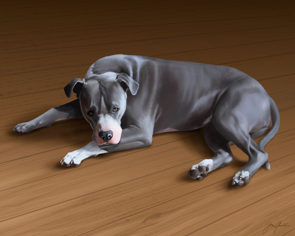 Blue Nose Pit - Finished Artworks - Krita Artists