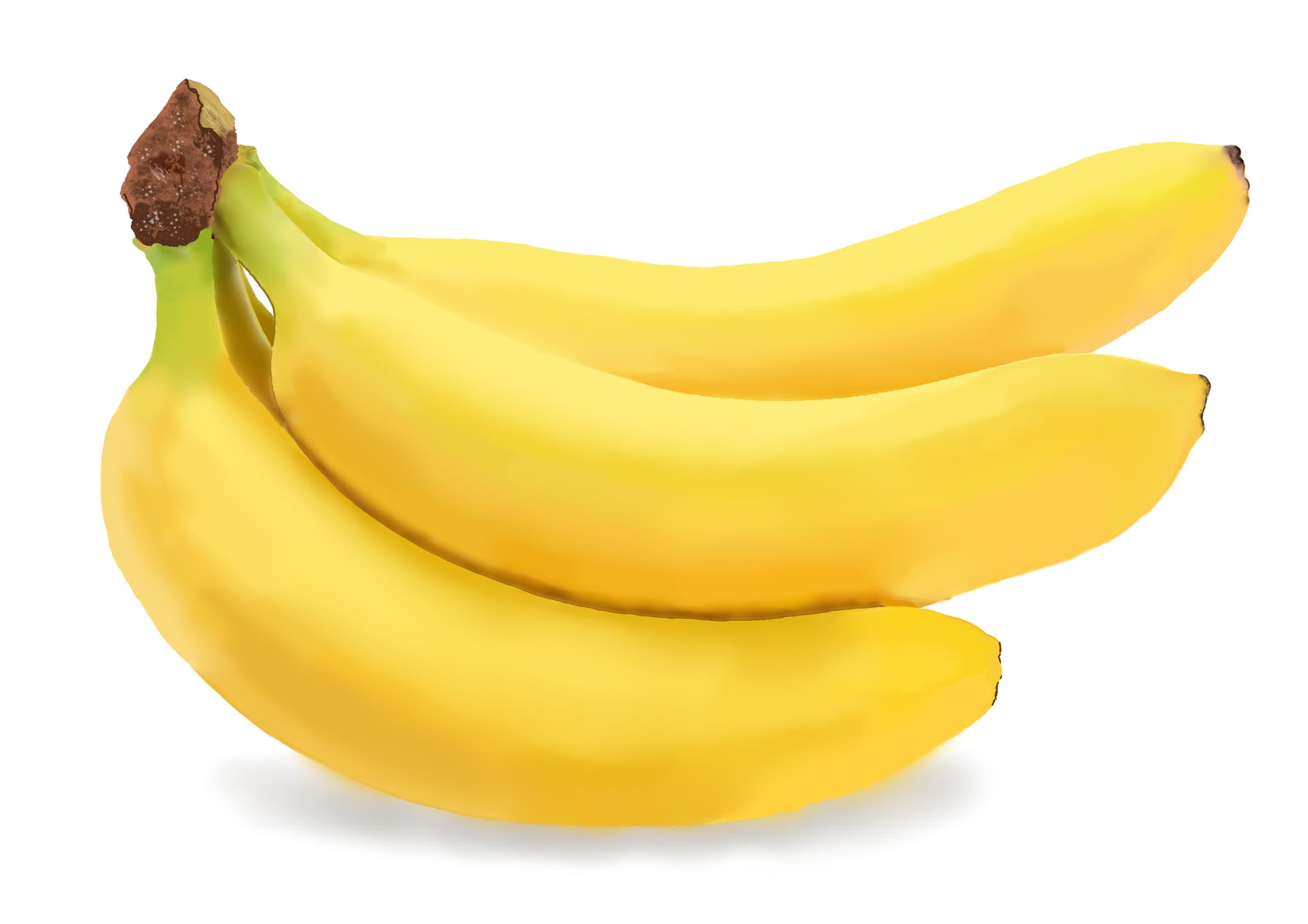 Three bananas - Finished Artworks - Krita Artists