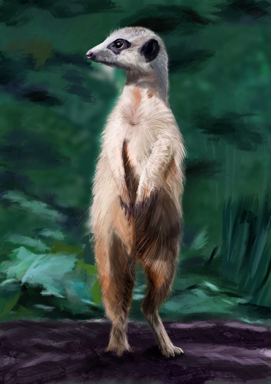 Meerkat - Finished Artworks - Krita Artists