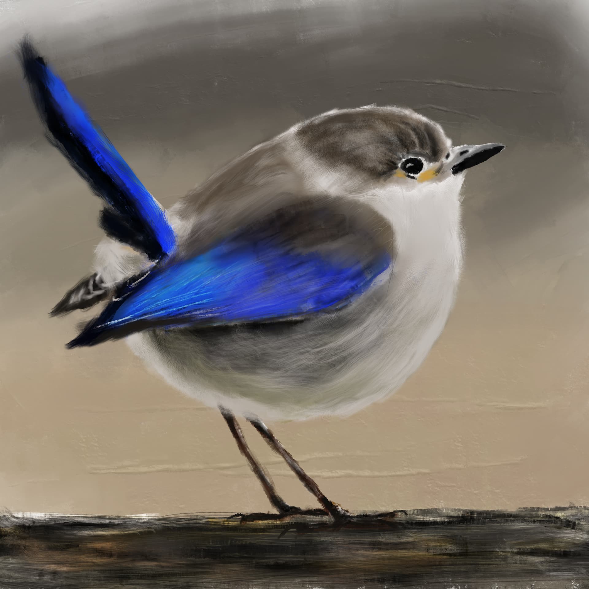 Bluebird - Finished Artworks - Krita Artists