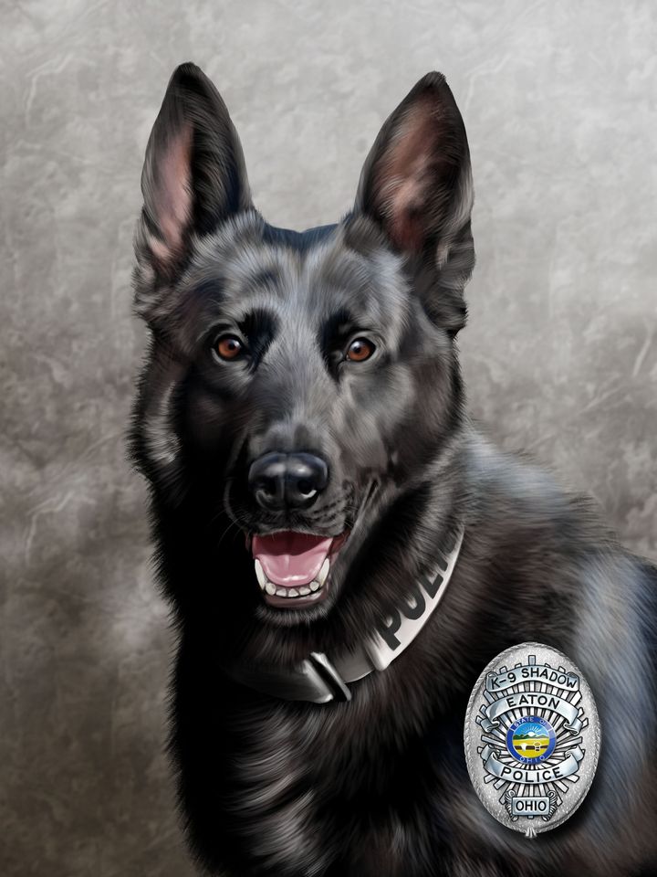 K9 Officer "Shadow" portrait - Finished Artworks - Krita Artists