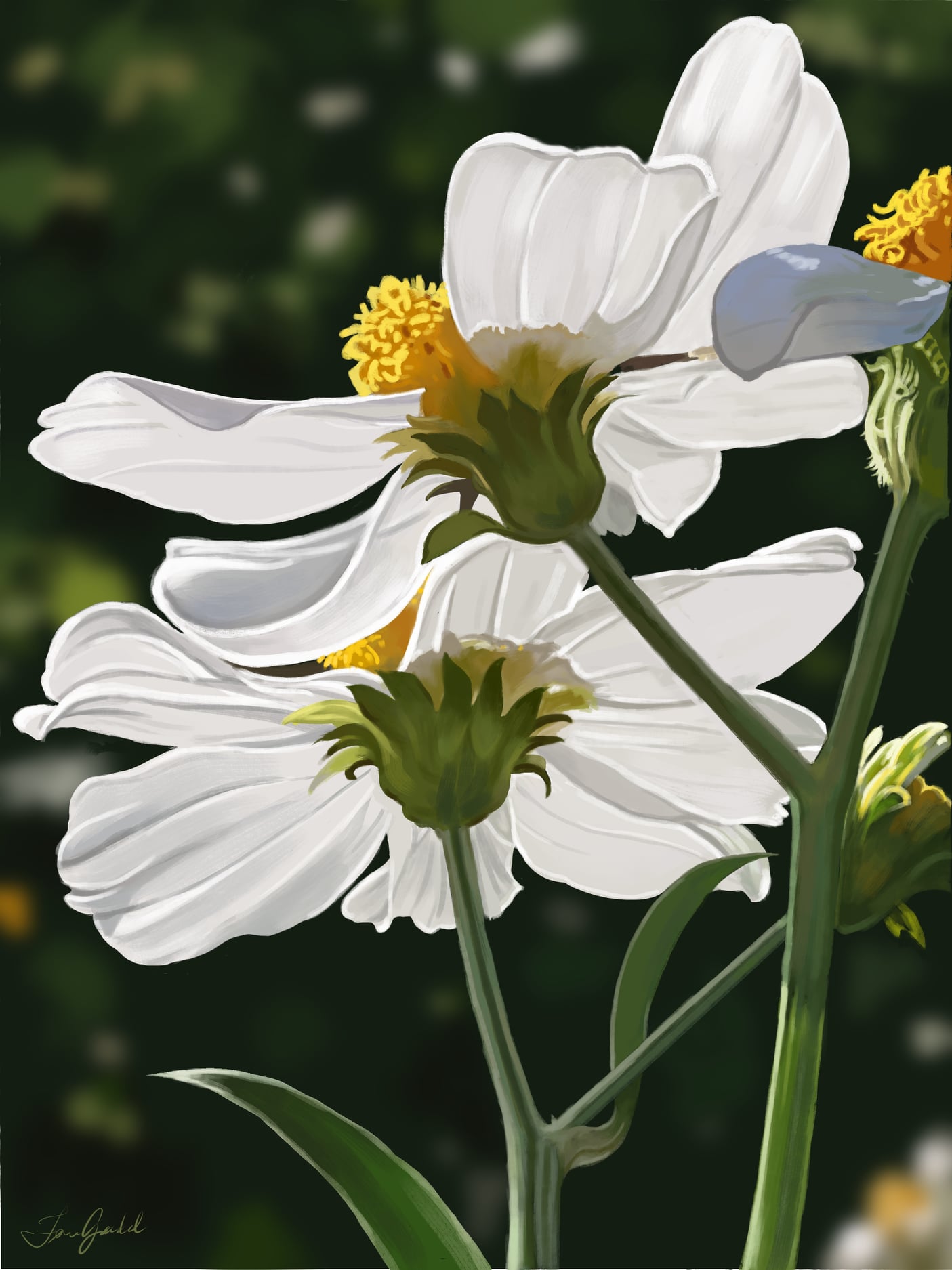 Roadside Daisies - Finished Artworks - Krita Artists