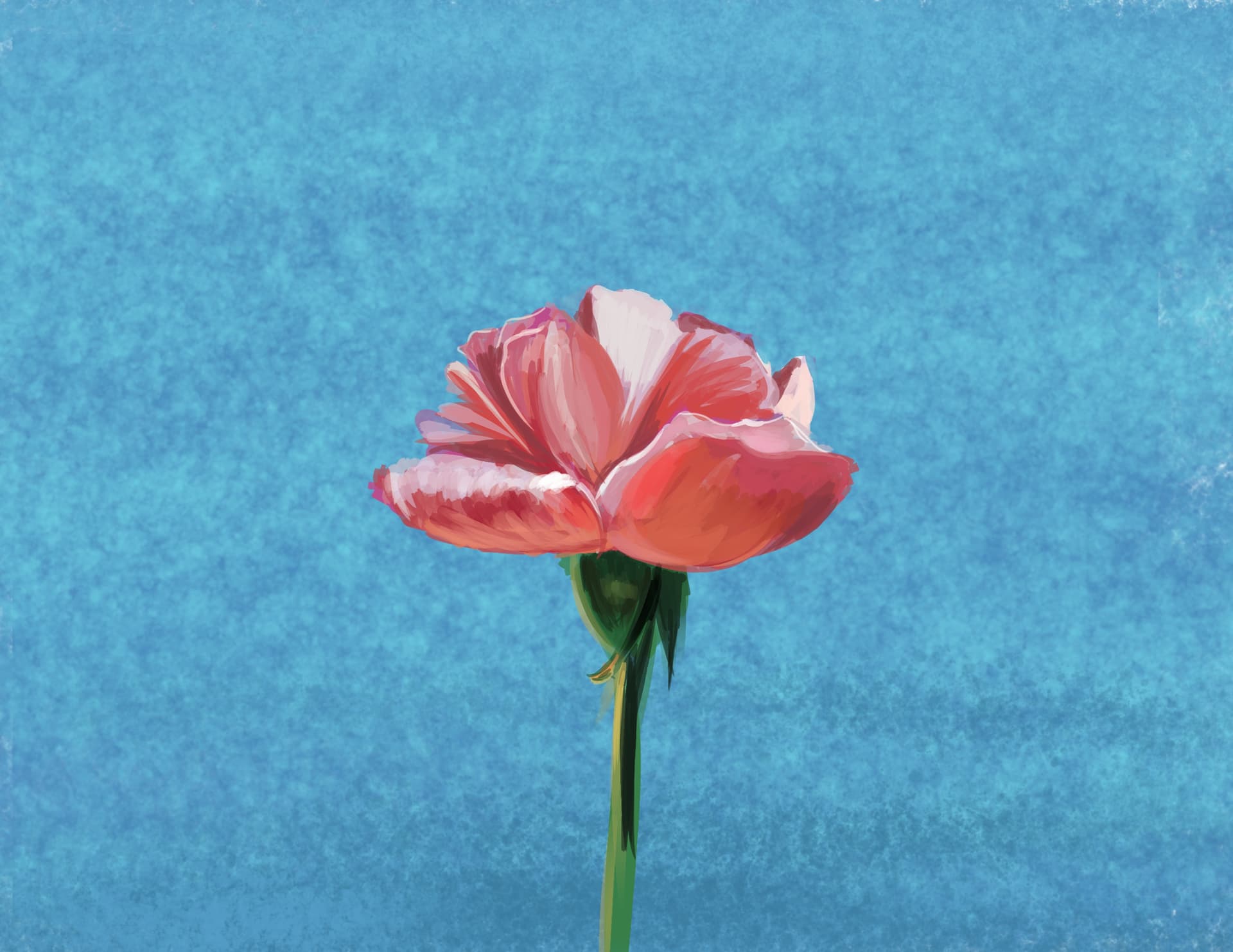 Quick flower painting - Finished Artworks - Krita Artists