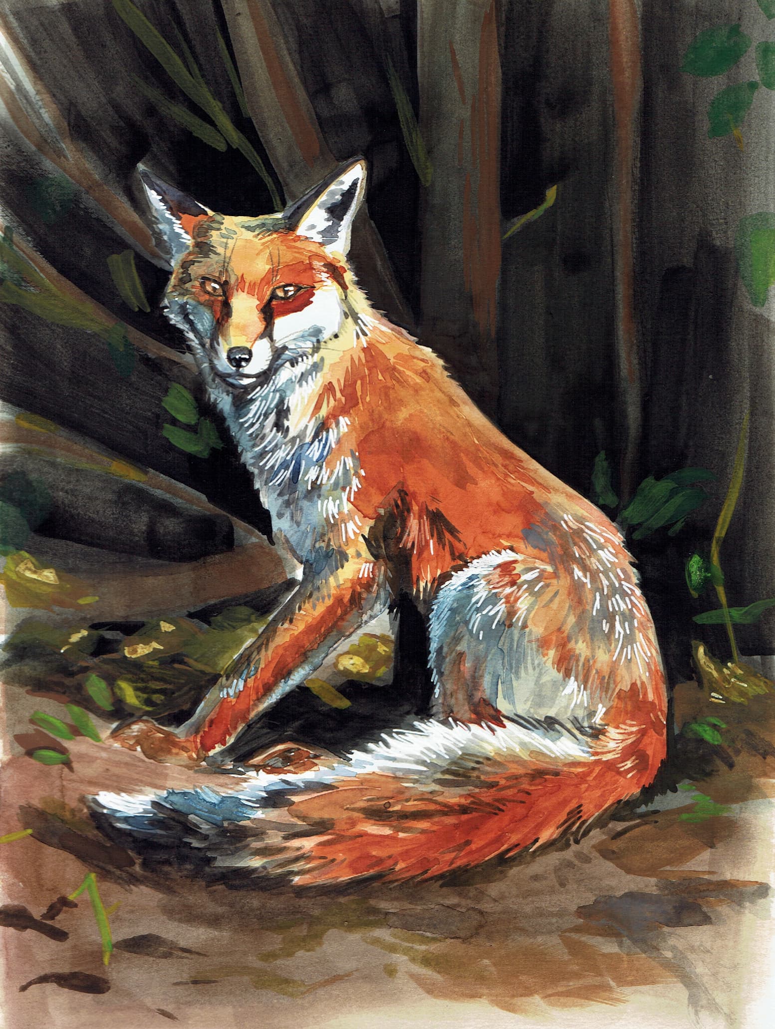 Classic Fox - Traditional - Krita Artists