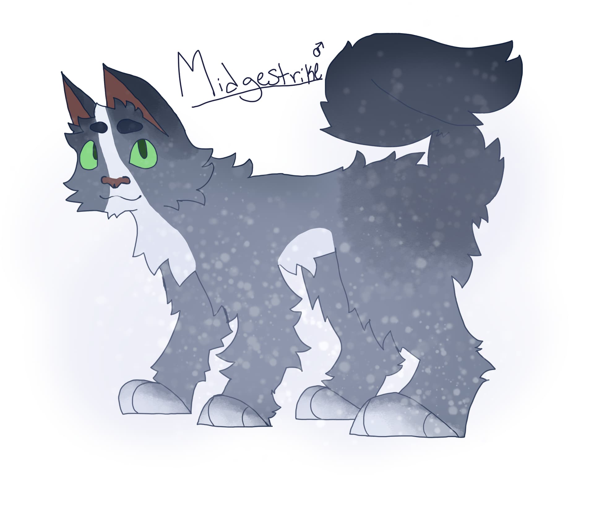 My clangen cats - sketchbook - Krita Artists