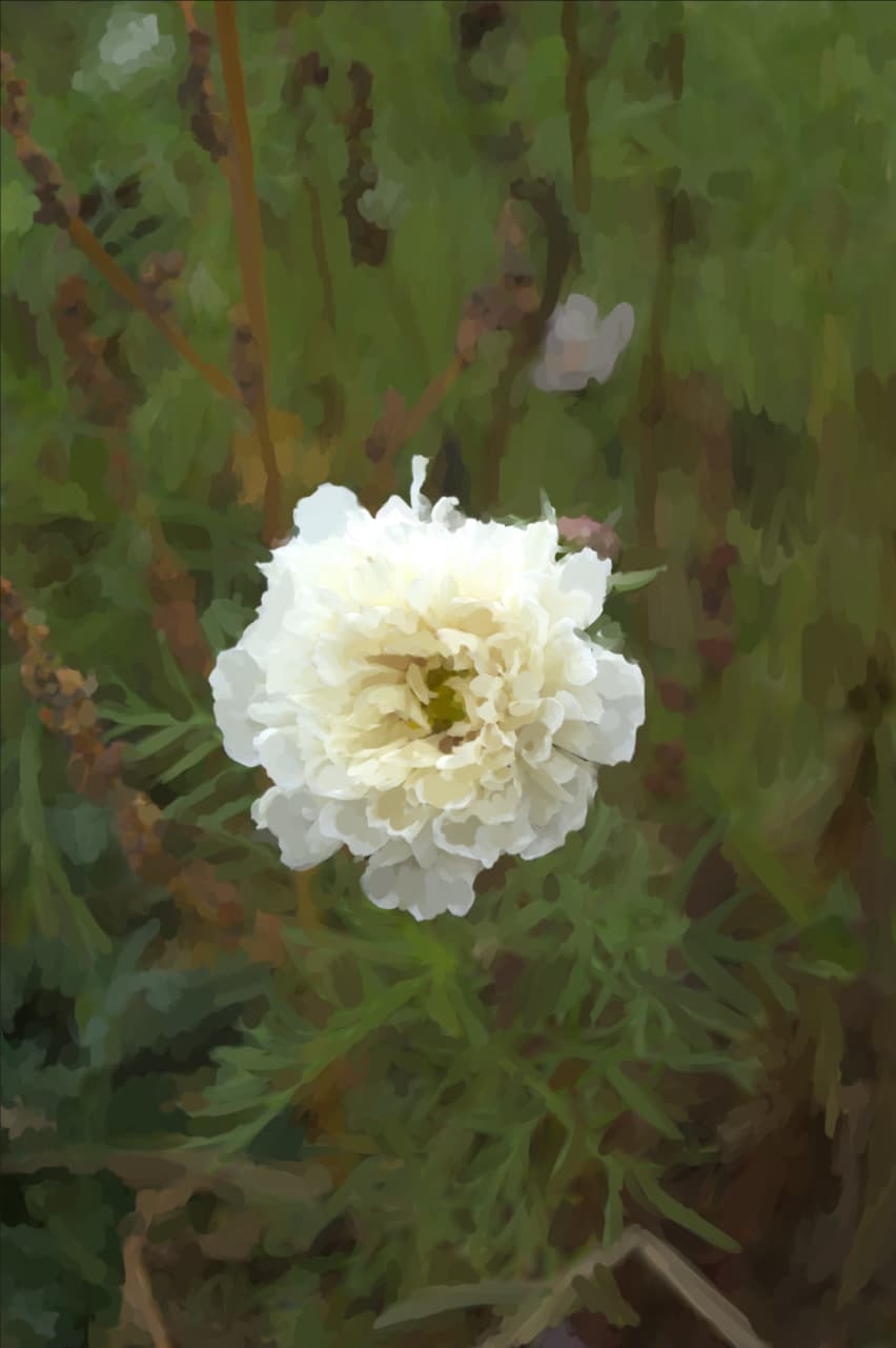 Blended Flower Painting/Photo (read description) - Finished Artworks ...